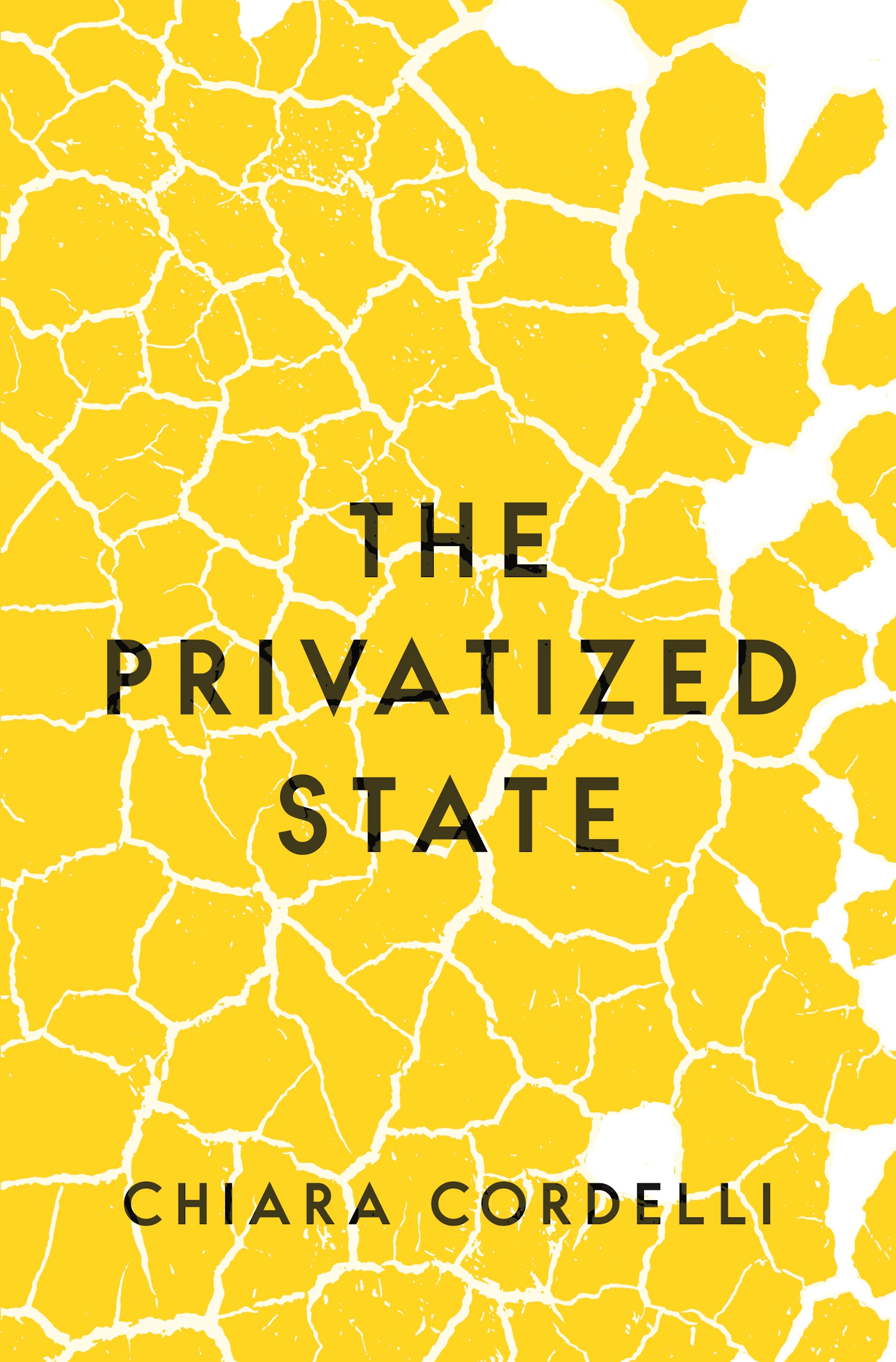 The Privatized State | Exploring Economics